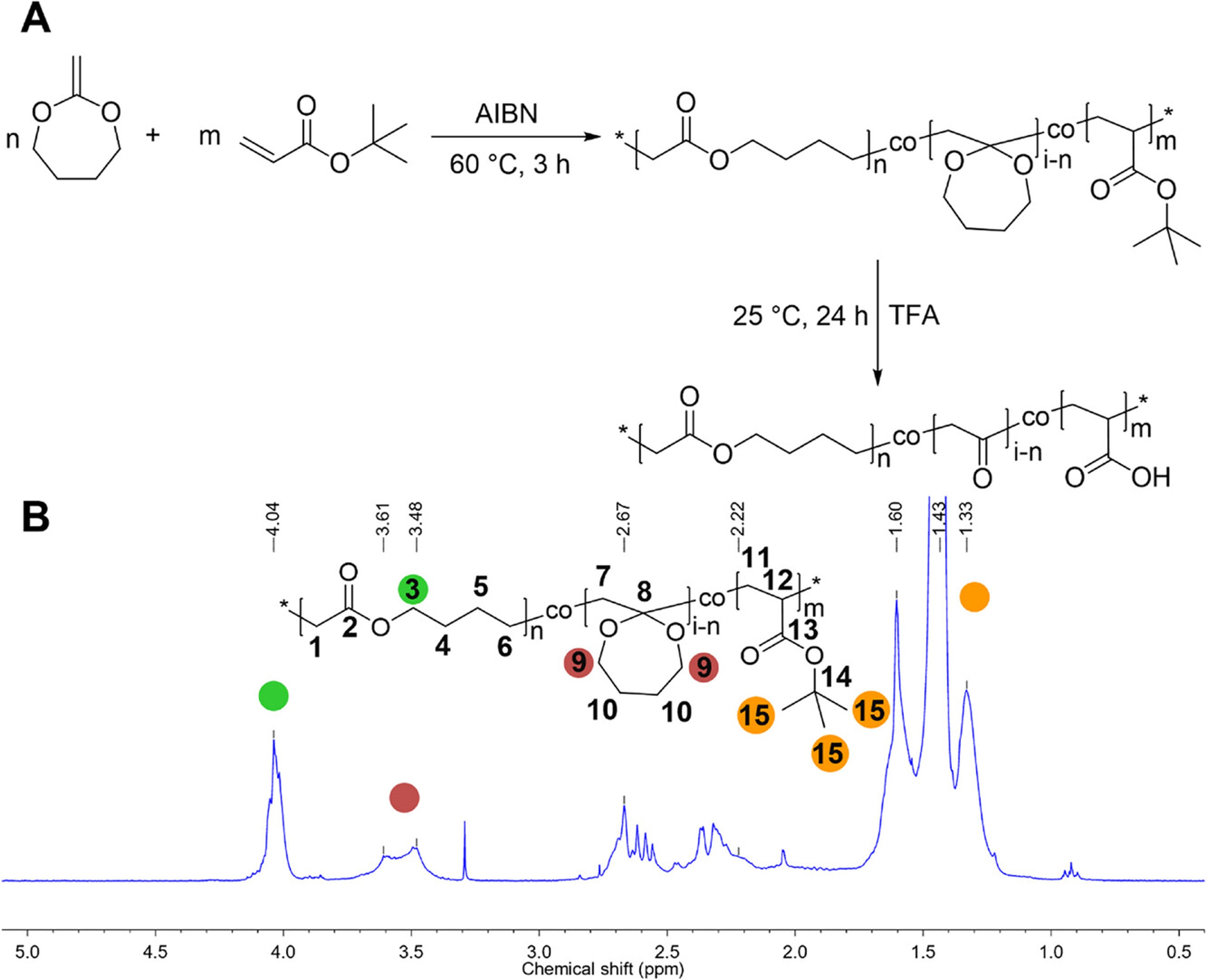 Evaluating Polymerization Methods and Deprotection Strategies for ...